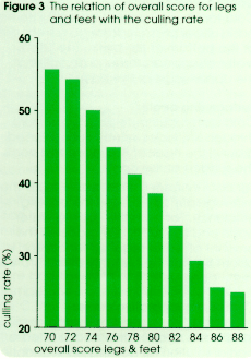 Classification: legs and feet