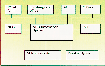 The Royal Dutch Cattle Syndicate (NRS)